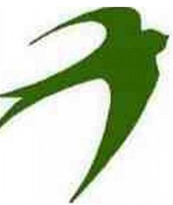 Connaught Junior School PTA (@connaughtjuniorschoolpta) • Raffall